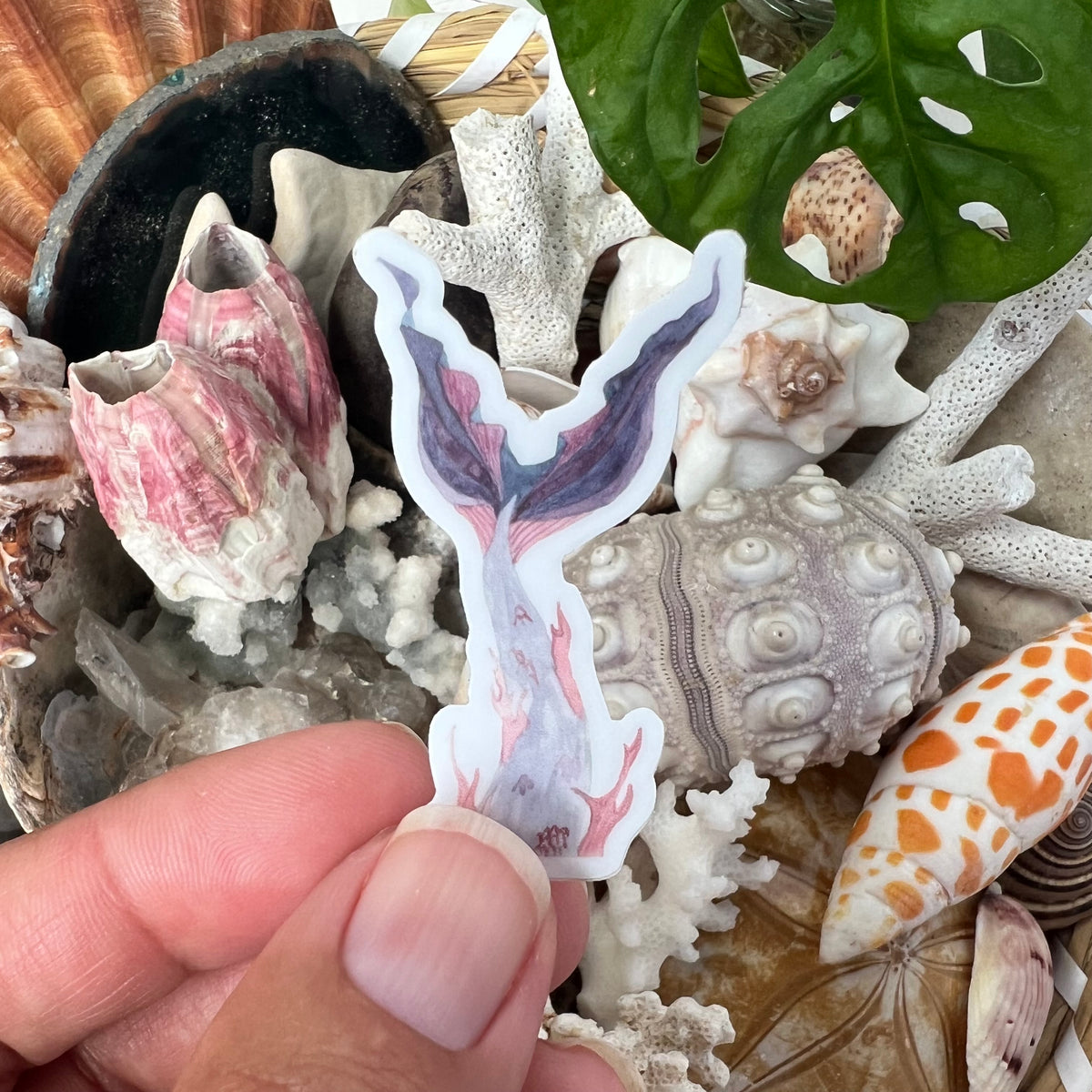 Mermaid Tail Vinyl Decal / Sticker – Salt Hippy